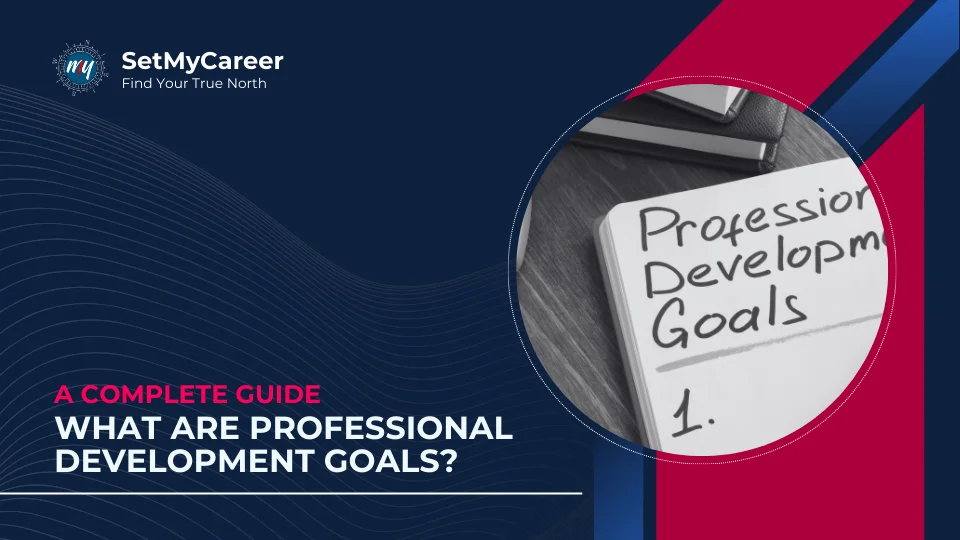 What Are Professional Development Goals?