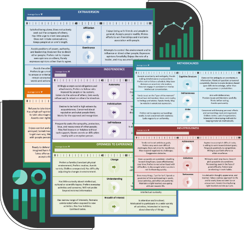 Comprehensive Career Assessment Test for Students and Adults | Best ...