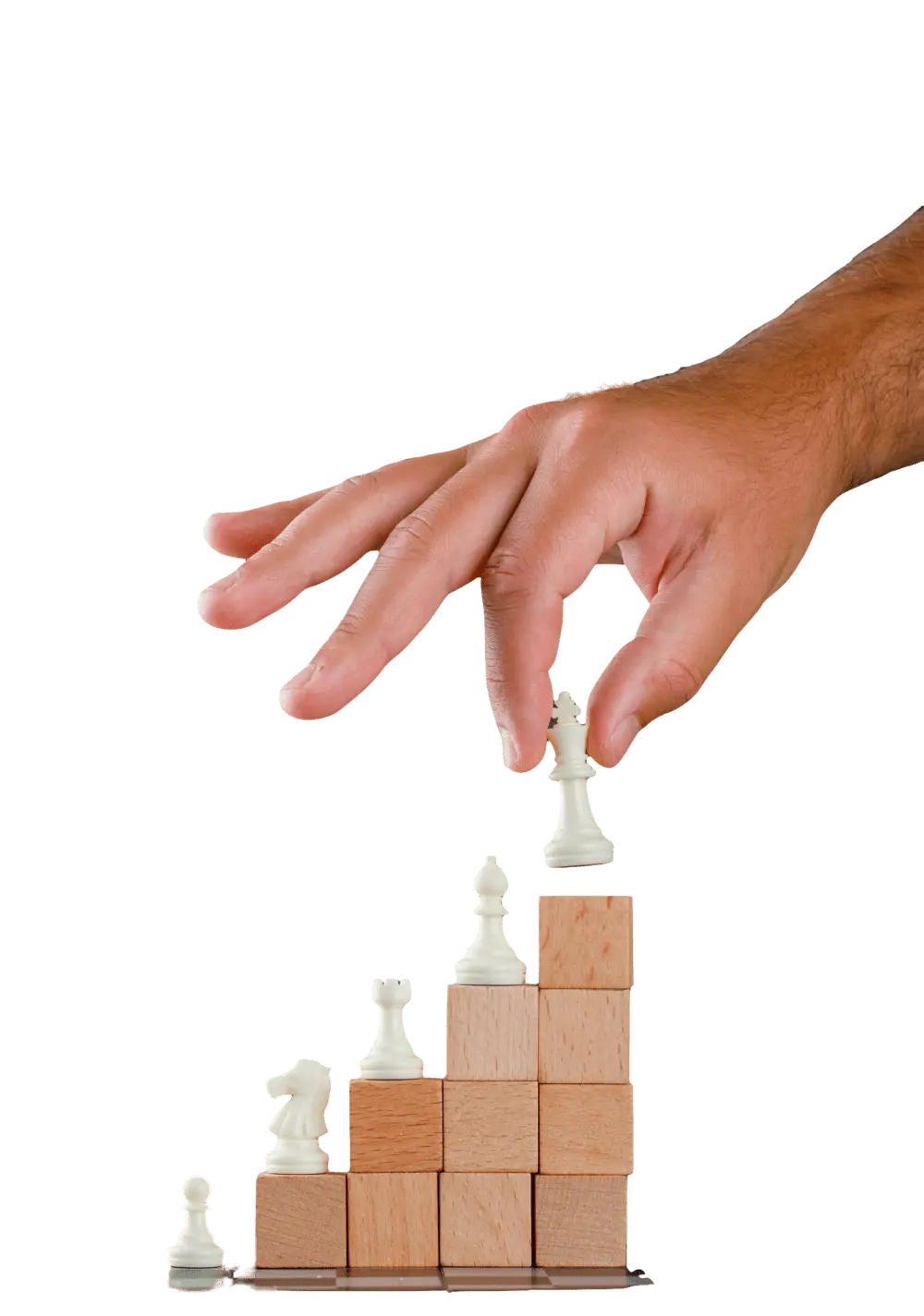 Personality Development For Personal And Professional Growth