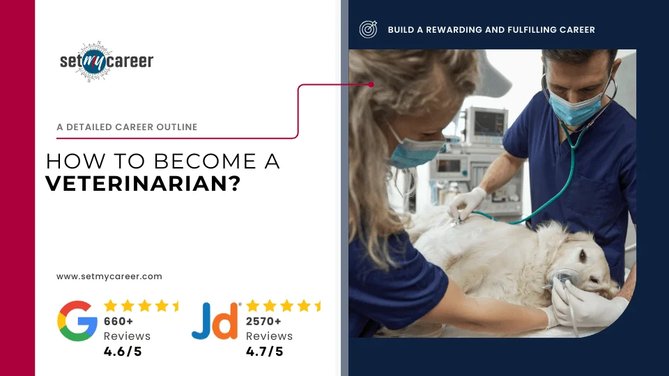How to Become a Veterinarian?