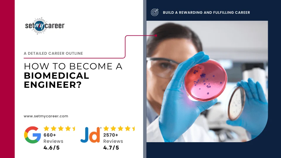How to Become a Biomedical Engineer?