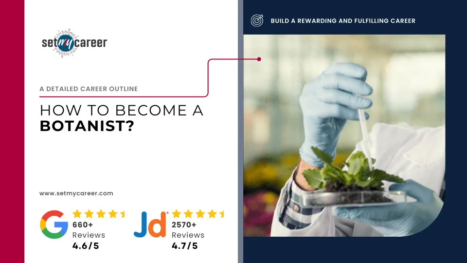 How to Become a Botanist?